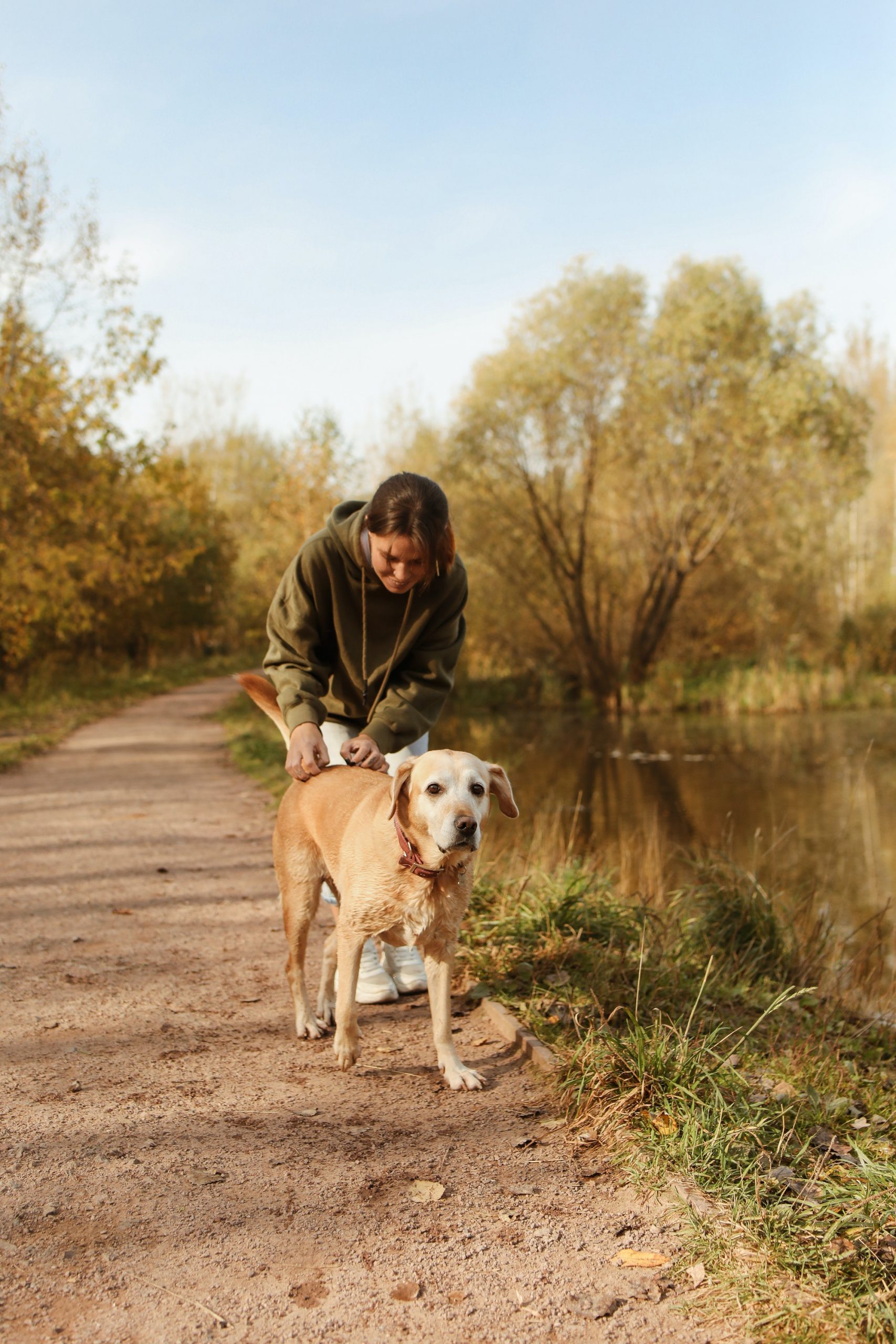 Keeping the Peace: 7 Ways to Be a Good Dog Neighbor – PawBoost Blog