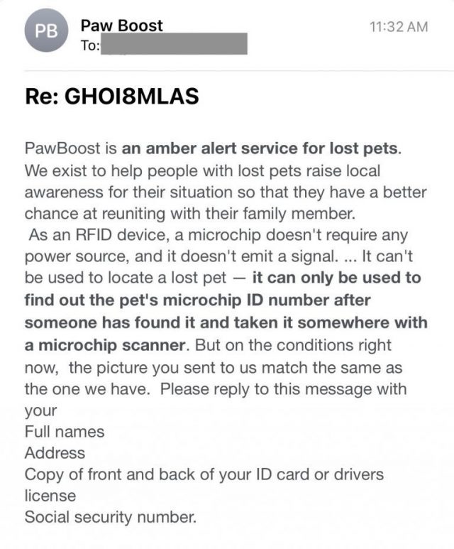 Lost Pet Scams - Tips to Recognize & Avoid Scammers | PawBoost