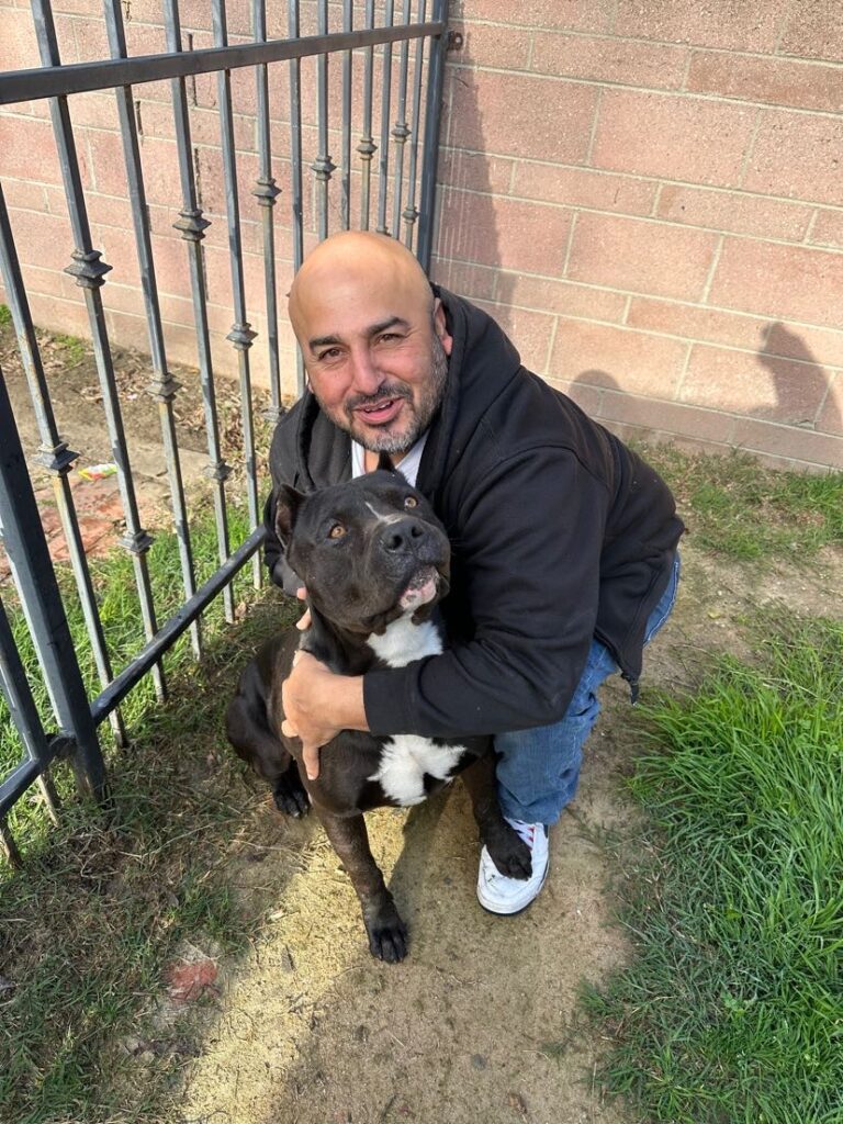 Featured Happy Tails! March 2024 – Lost & Found Dogs, Cats, & Pets That ...