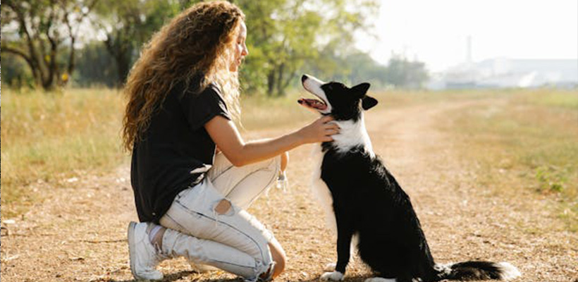 Who Can Help Me Find My Lost Dog? | PawBoost Guide