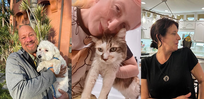 Featured Happy Tails! May 2025 – Lost & Found Dogs, Cats, & Pets That ...