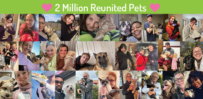 How We Reunited 2 Million Lost Pets | PawBoost