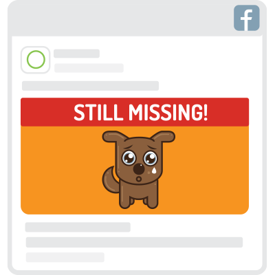 Free Lost Animal Flyer Template - Reptiles, Rabbits, Horses, and More ...